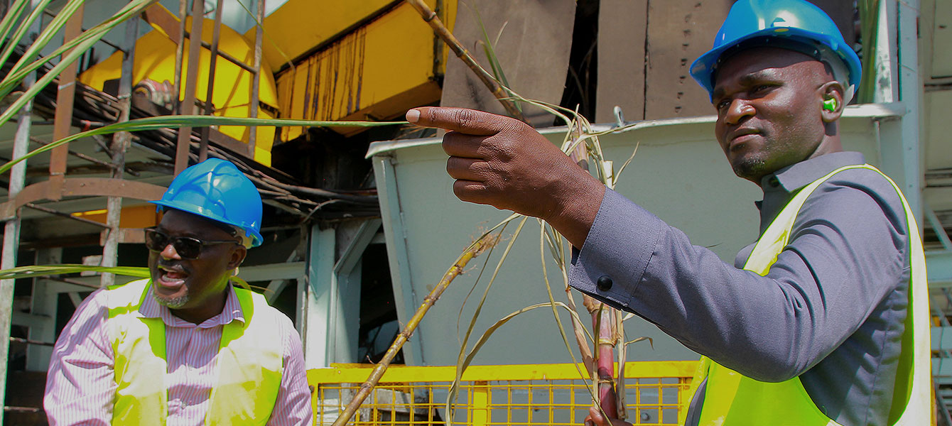 About Us - Kilombero Sugar Company - An Illovo Sugar Africa Company