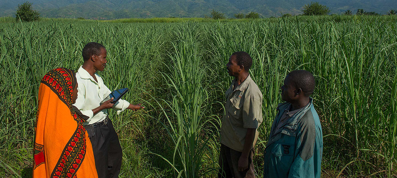 Our Stakeholders - Kilombero Sugar Company - An Illovo Sugar Africa Company